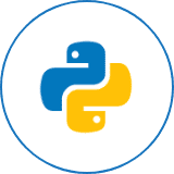 Custom Software Development Services Company | WeblineIndia