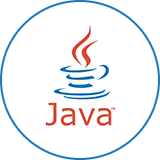 Custom Software Development Services Company | WeblineIndia